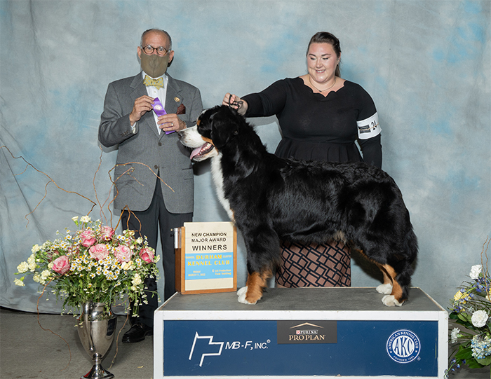 Kampmeier Labradors | Star